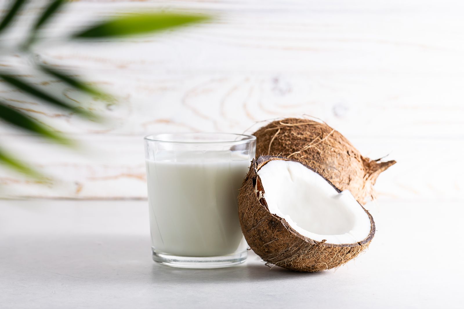Leche de Coco y Colesterol - Mini Manual